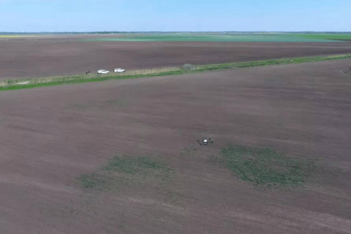 Cropland weed management is a global challenge. Weed pressure in the ...