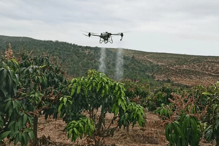 Zhang Yilin, a 55-year-old native of Sanya, Hainan, is the chairman of ...