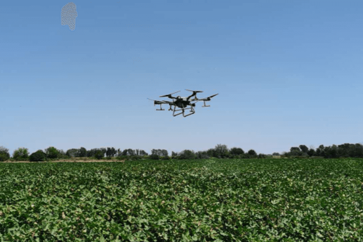Revolutionizing Cotton Farming in Greece with DJI Agriculture Drones