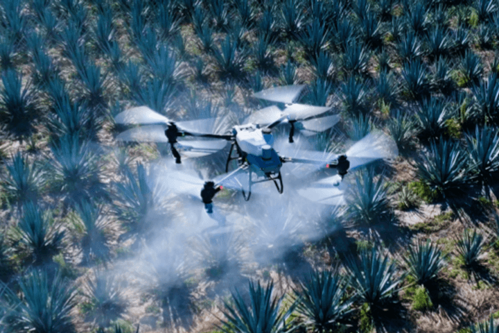 Revolutionizing Agave Farming: Using Agras T40 Drones to Spray Agave